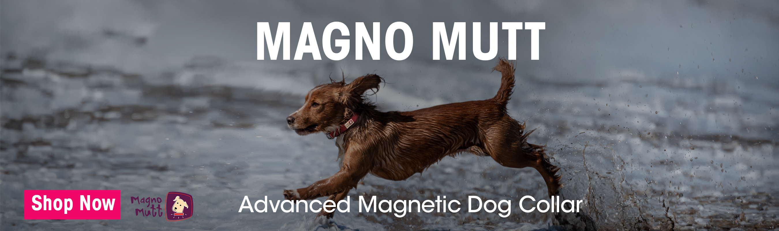 Magnets 4 Health Ltd Magnetic bracelets specialist