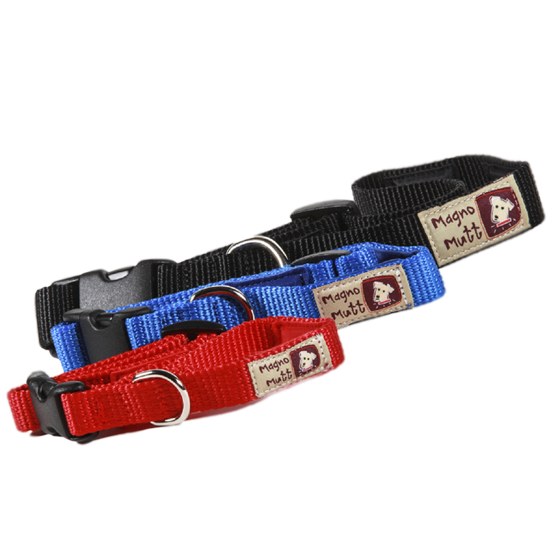 MAGNO MUTT™ - Persian Blue - Advanced Magnetic Dog Collar